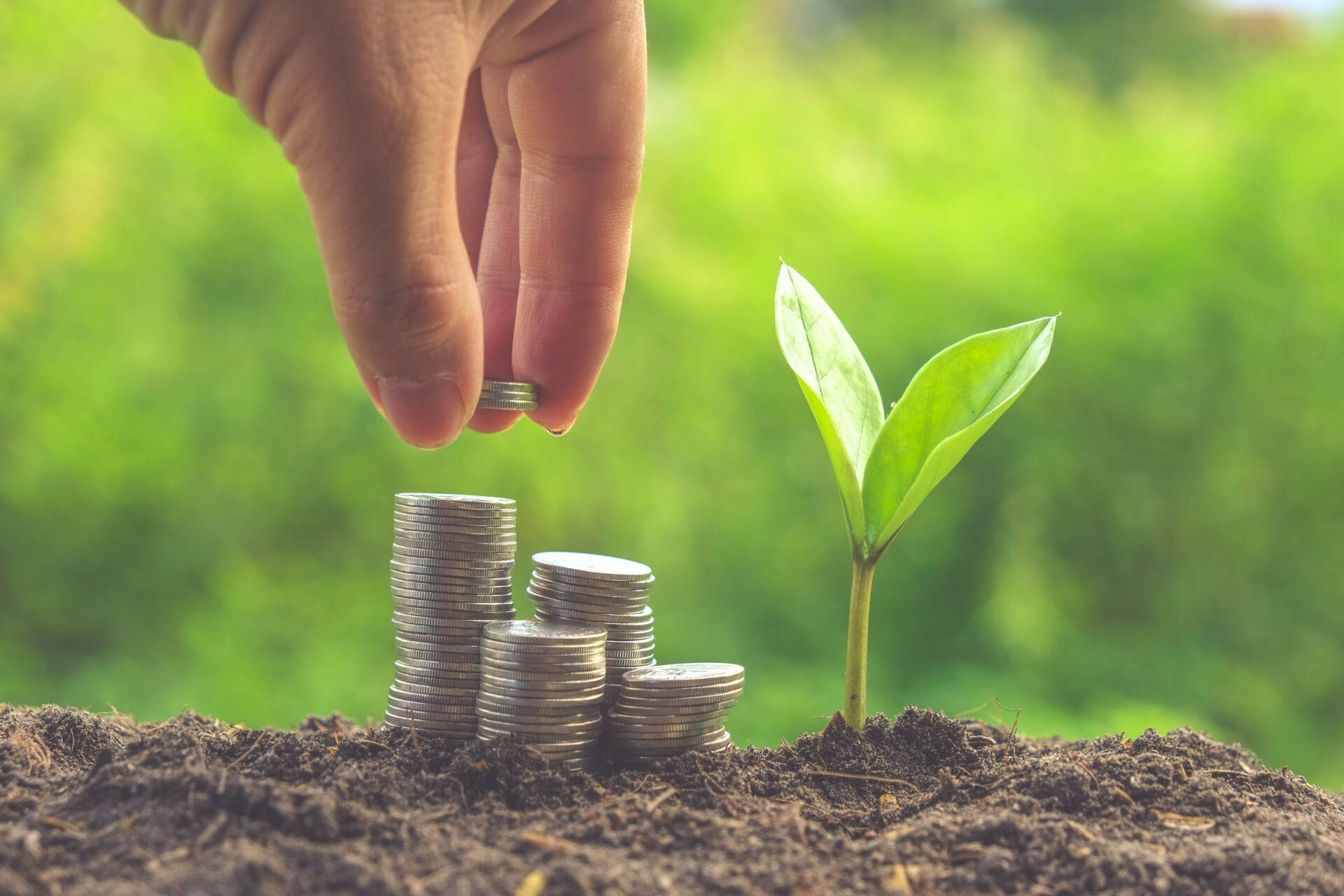 Intégrer la valeur de notre planète dans la RSE grâce à la valorisation ...