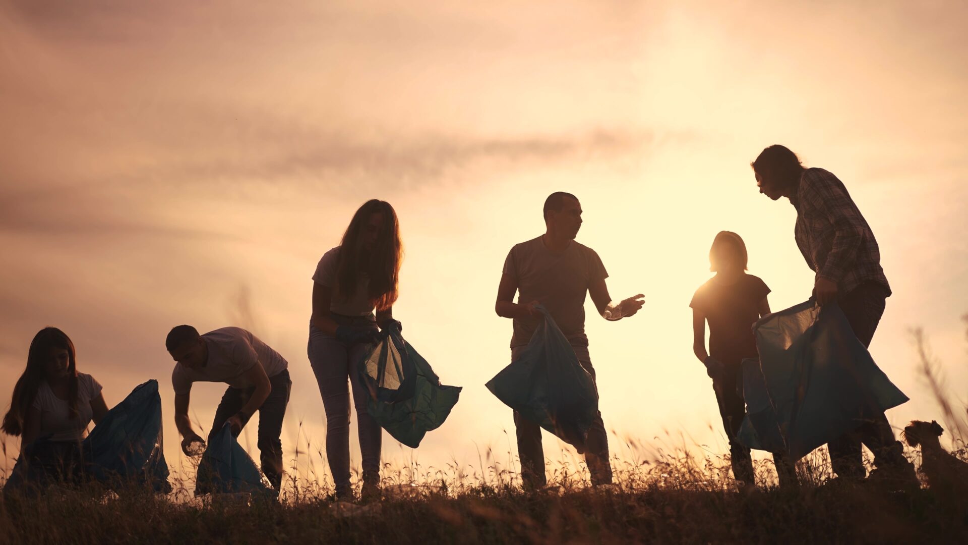 Quand création de valeur économique rime avec création d’impact social ...
